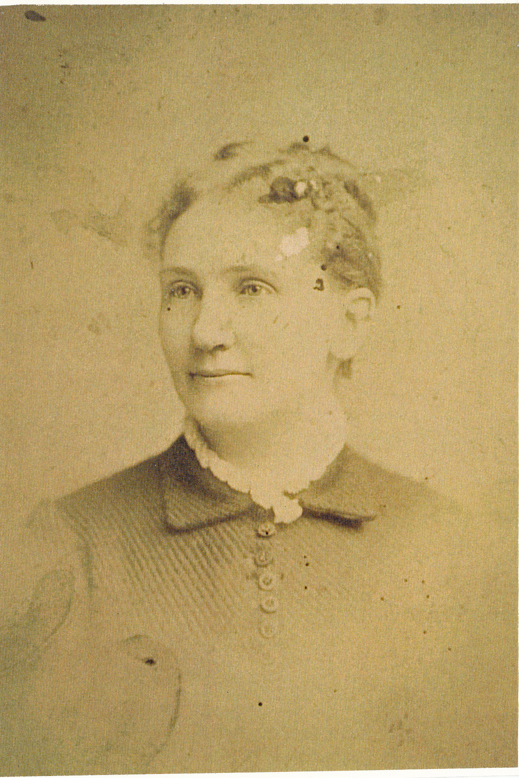 The Pennsylvania Chautauqua’s Sarah Tyson Rorer: America’s First ...